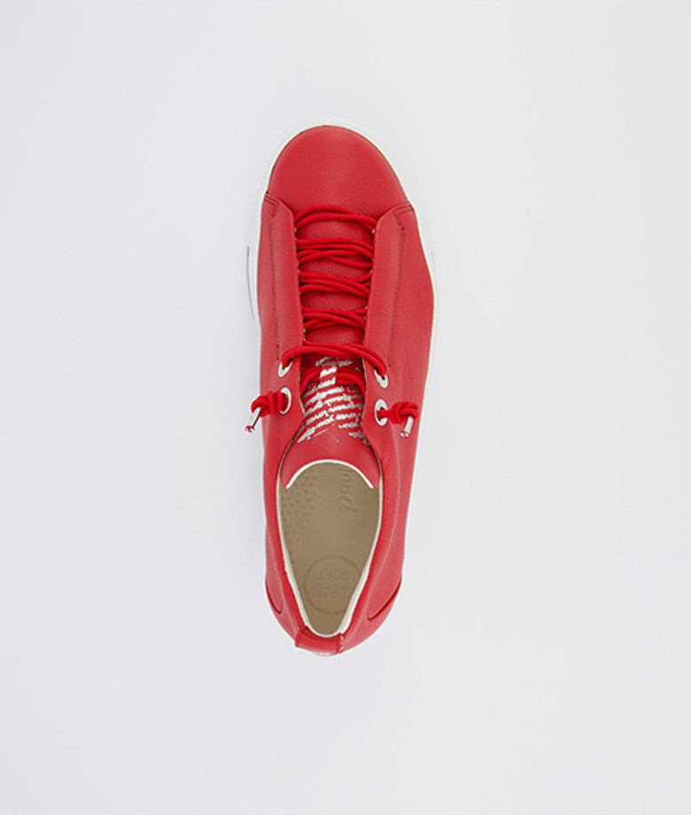 Discover the new Paul Green collection online
